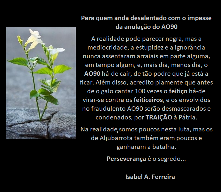 Para quem anda desalentado com o impasse da anulação do AO90 - O Lugar ...