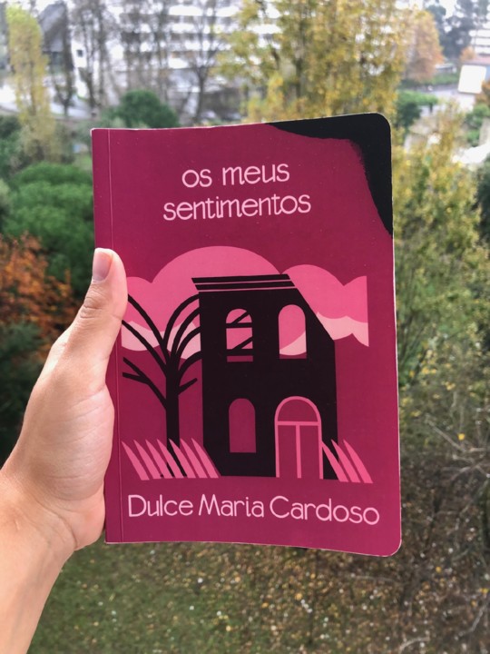 Os meus sentimentos | Dulce Maria Cardoso - Clarabóia