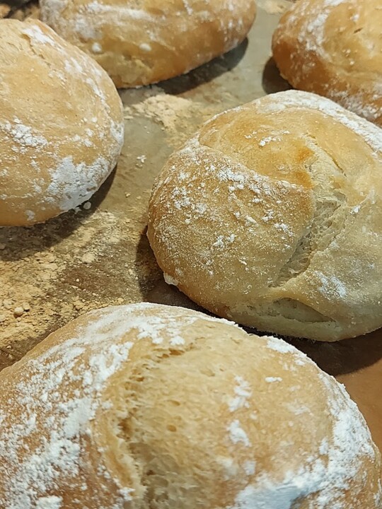 Pão Simplório - Belita, a Rainha dos Couratos