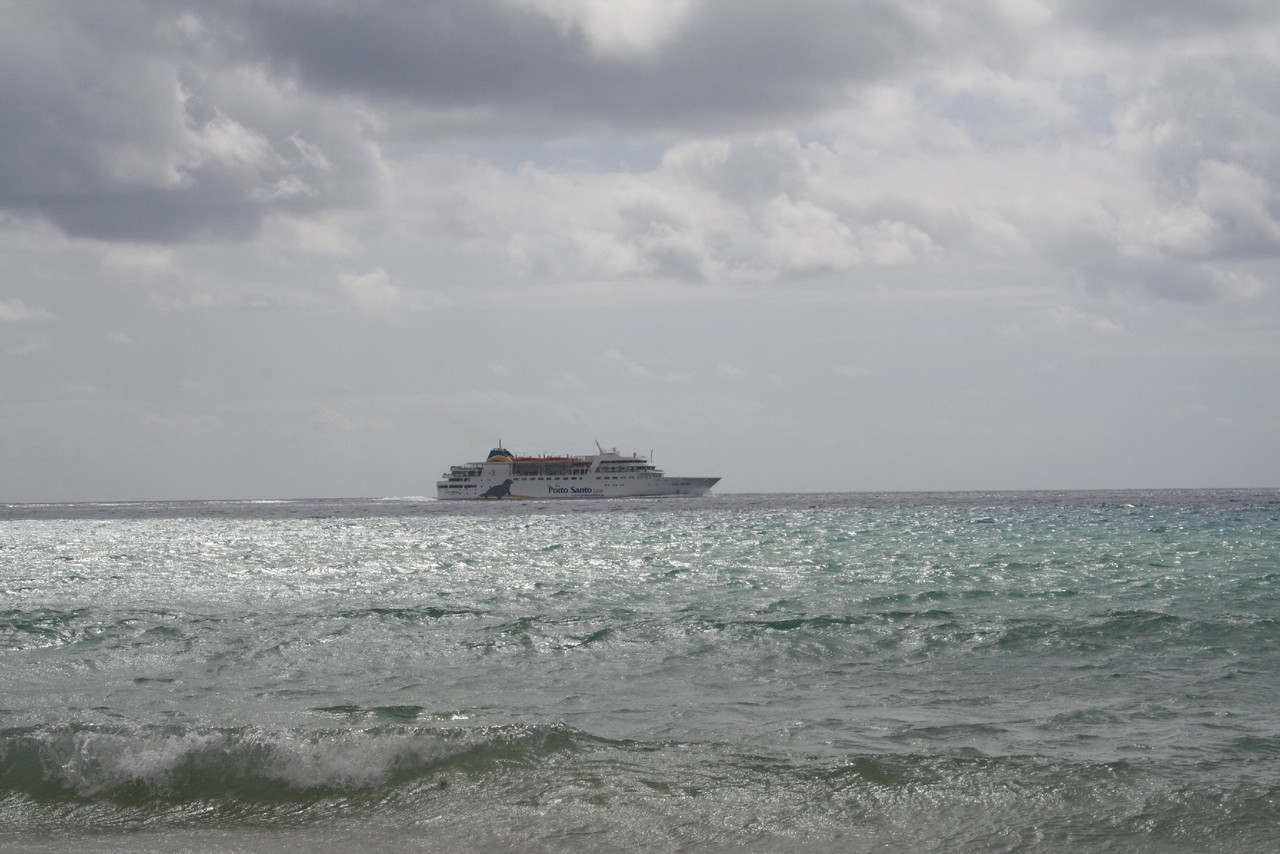 LOBO MARINHO a partir de Porto Santo - NAVEGAR É PRECISO